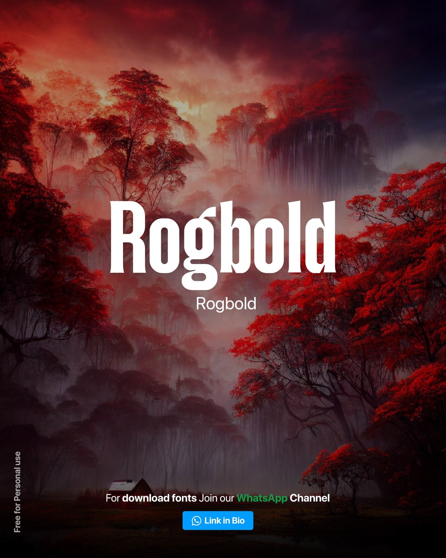 Bold Fonts Inspiration | Find The Perfect Bold Font For Your Next Project