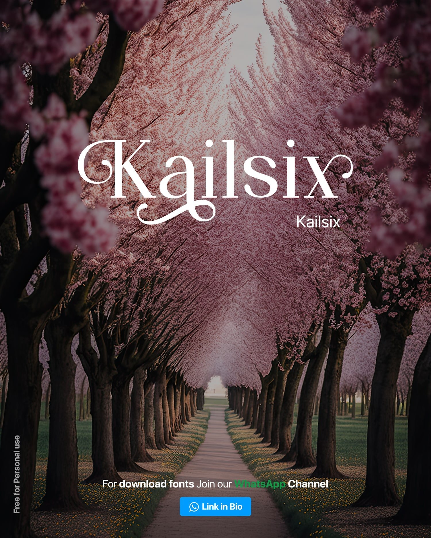Luxury Fonts For Logos Free Download | Modern Luxury Fonts