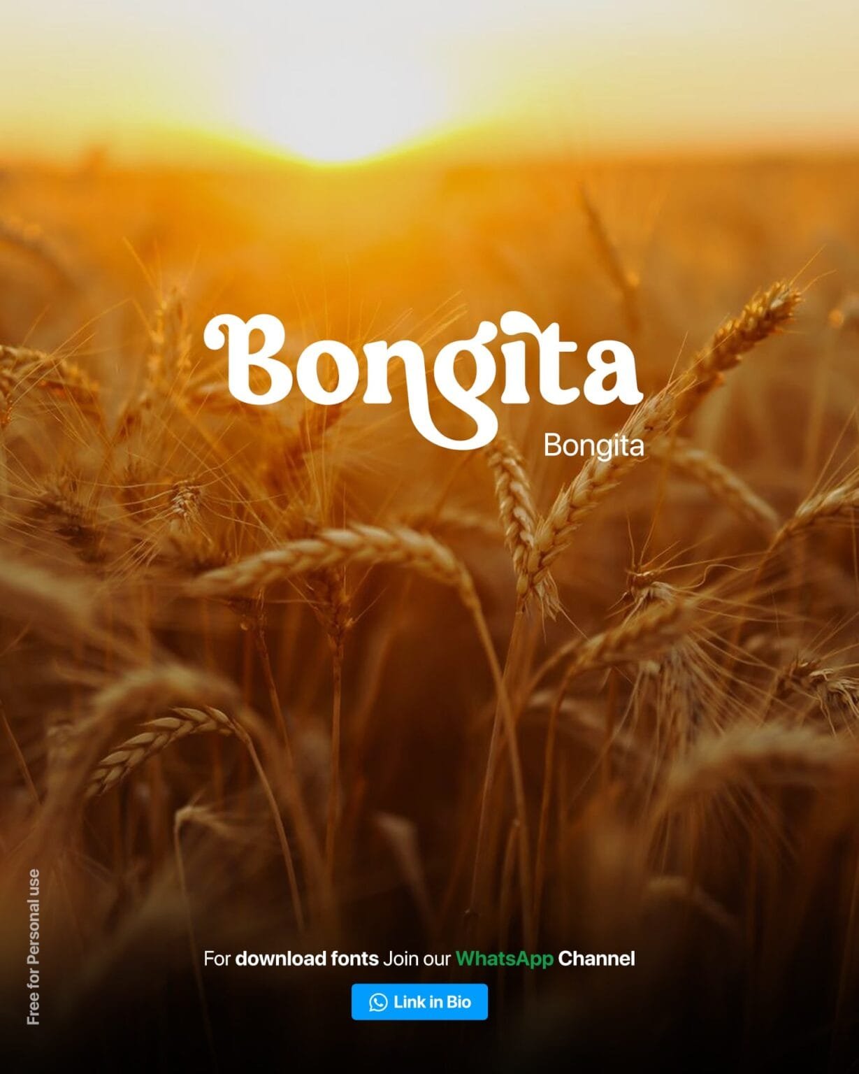 6 Best Branding Fonts For Brand Identity